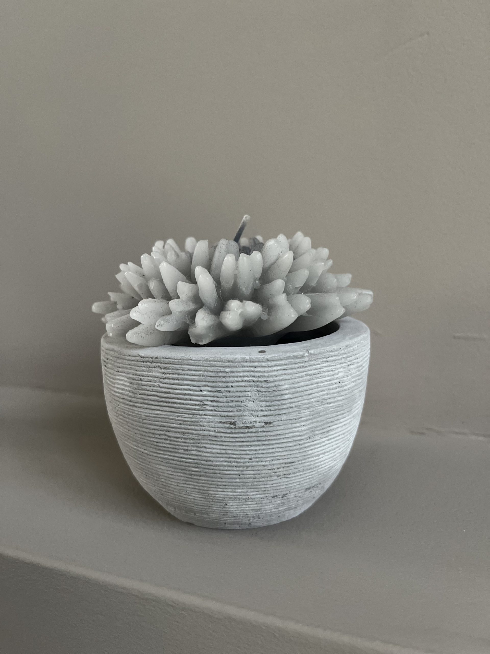 Flower bougie déco - Intemporel